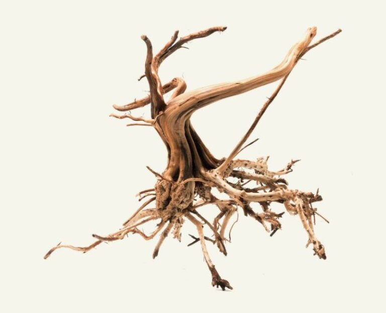 Aquarium Driftwood: Best and Safest Types for Your Tank (Setup Tips)