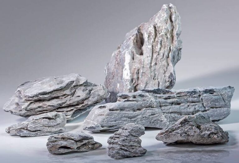 Seiryu Stone Guide: Aquascaping Tips & Shrimp Safety