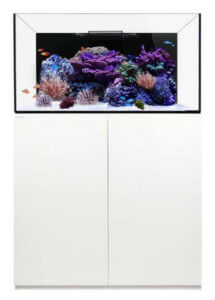 Best 100-Gallon Aquariums: Top Picks for Freshwater & Reef Tanks