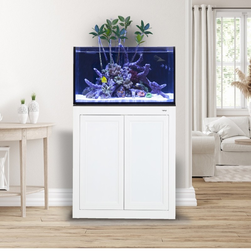 Best 50-55 Gallon Aquariums: Top Picks for Fresh & Saltwater