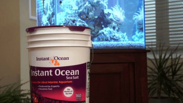 Best Marine Salt for Aquariums: Top Picks & Buying Guide