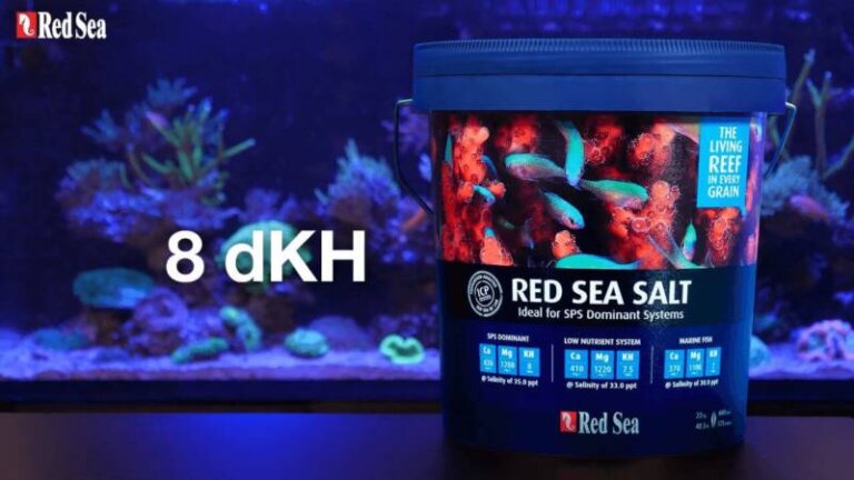 Best Marine Salt for Aquariums: Top Picks & Buying Guide