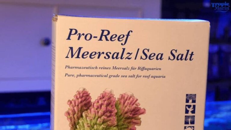 Best Marine Salt for Aquariums: Top Picks & Buying Guide