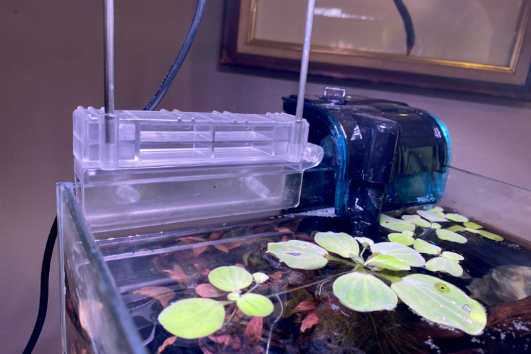 Best LED Lights for Planted Aquariums Top Picks & Buying Guide