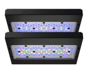 Best LED Lighting for Reef Tanks: Top Picks for Coral Growth